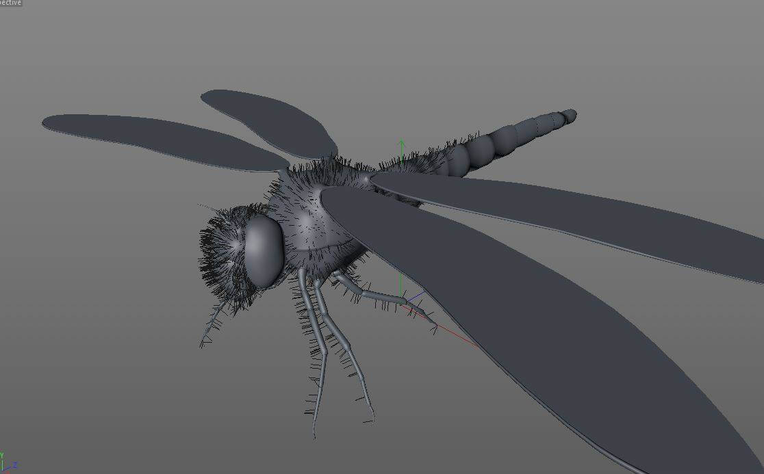 Dragonfly - 3D Model by 3dstudio