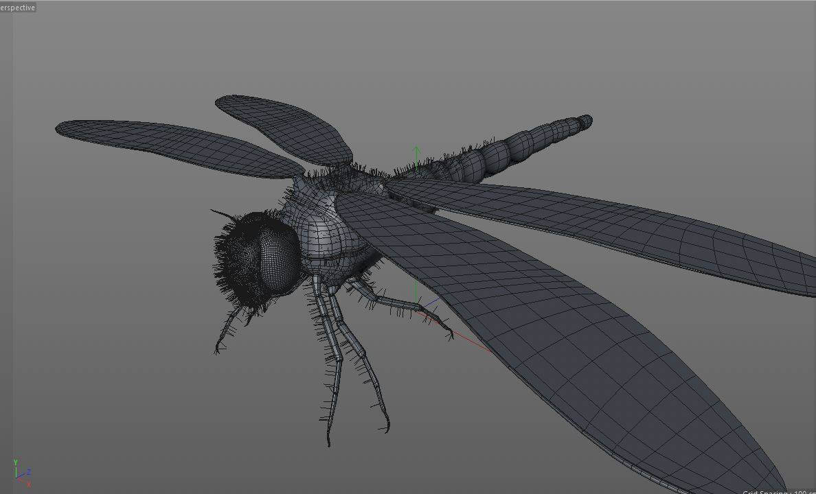 Dragonfly - 3D Model by 3dstudio