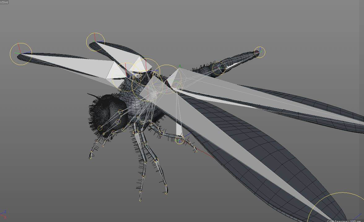 Dragonfly - 3D Model by 3dstudio