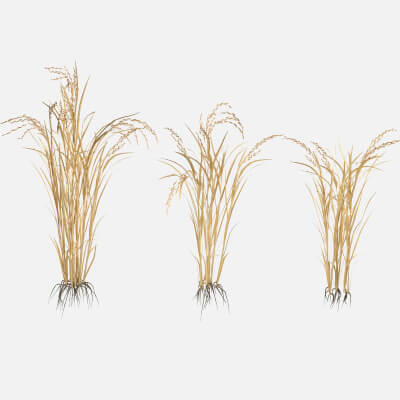 Dry Bushes 3d model by 3dstudio