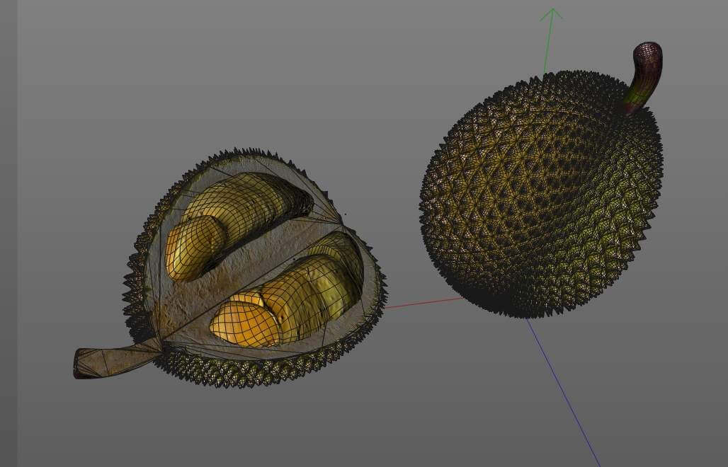 Durian Fruit - 3D Model by 3dstudio