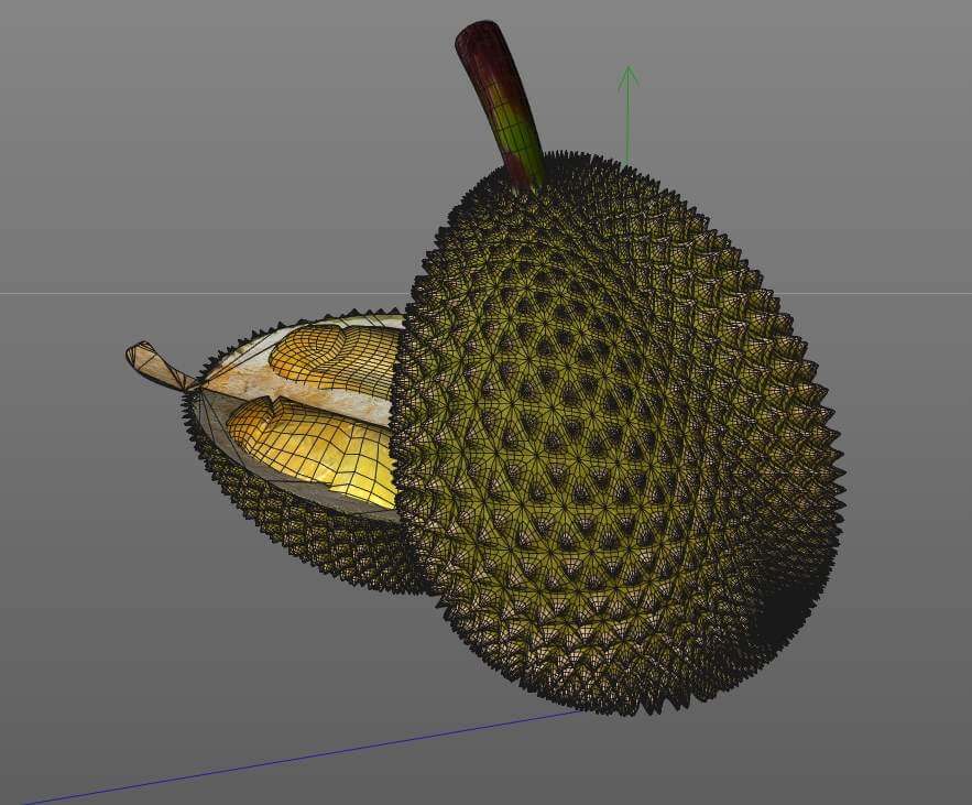 Durian Fruit - 3D Model by 3dstudio