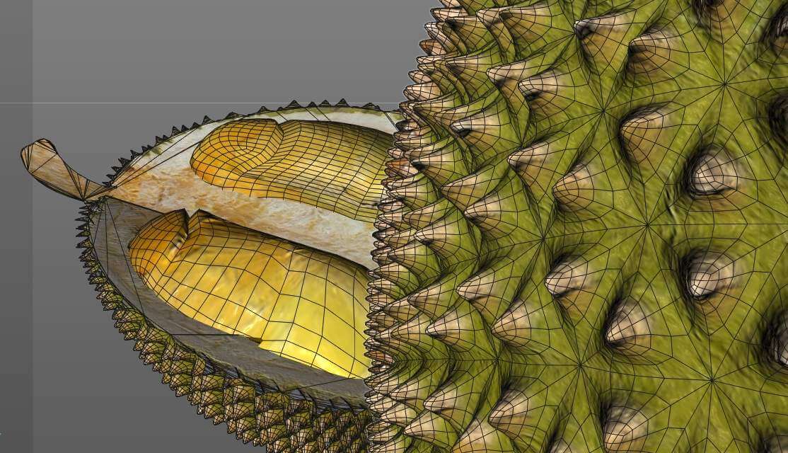 Durian Fruit - 3D Model by 3dstudio