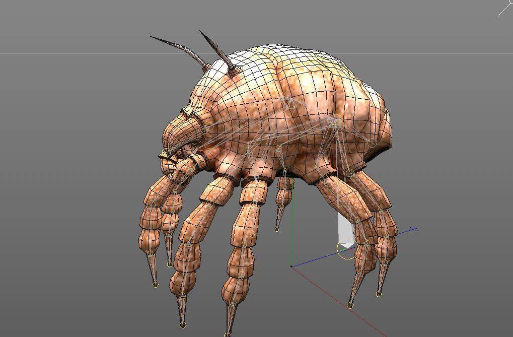 Dust Mite - 3D Model by 3dstudio