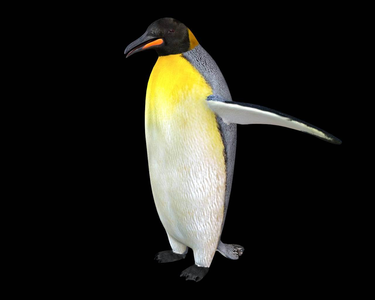 Emperor Penguin Rigged 3d Model Emperor Penguin 3D Model By Petar