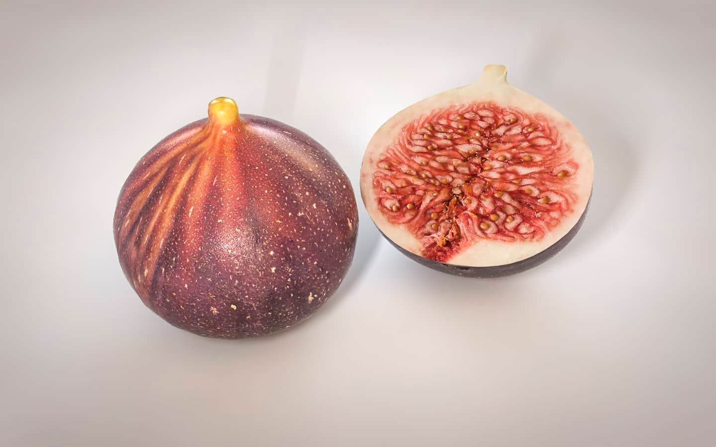 Fig - 3D Model by 3dstudio