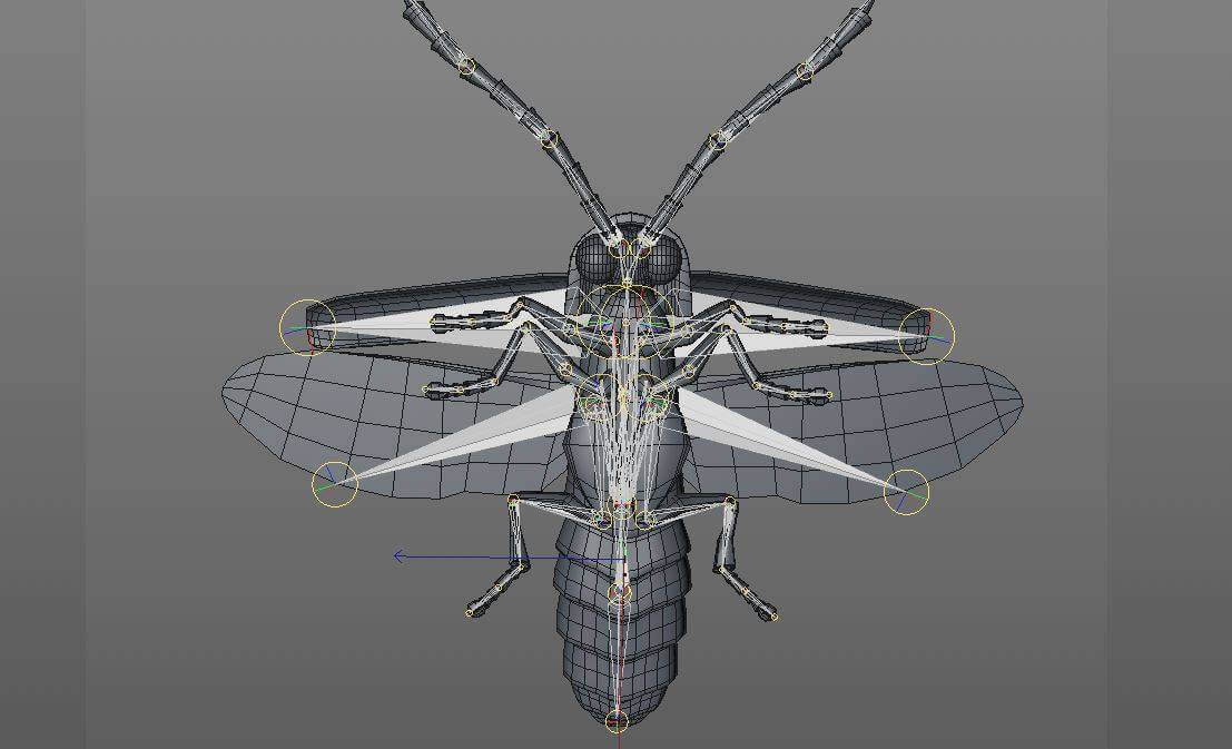 Firefly - 3D Model by 3dstudio