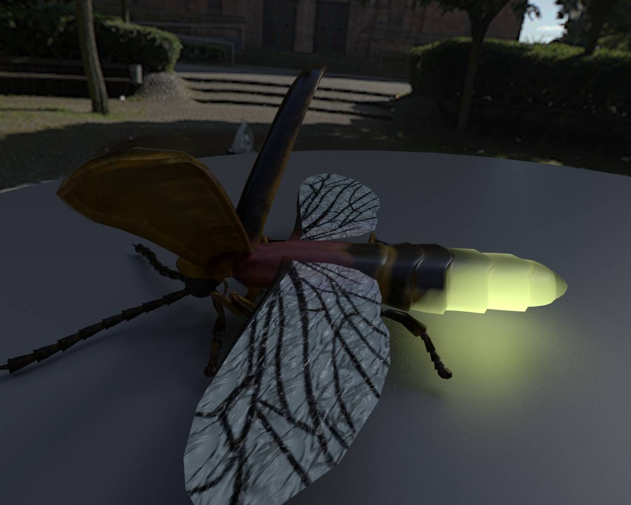 Firefly - 3D Model by 3dstudio