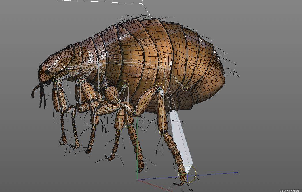 Flea - 3D Model by 3dstudio