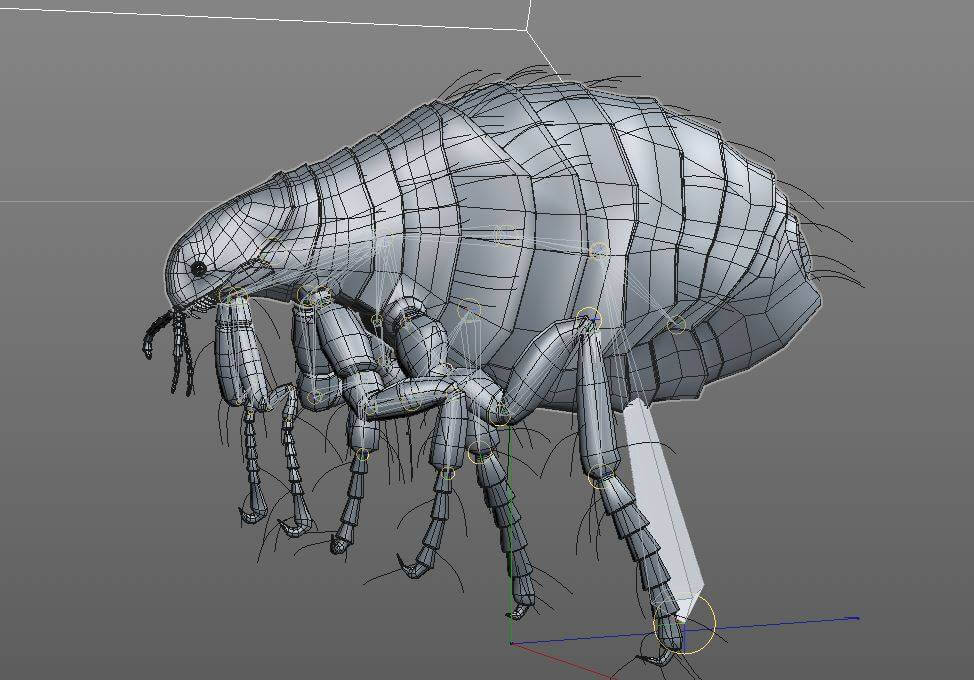 Flea - 3D Model by 3dstudio