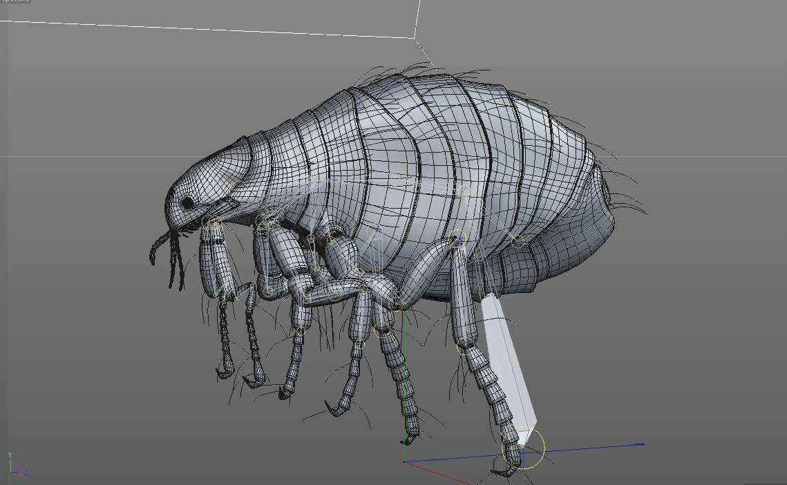 Flea - 3D Model by 3dstudio