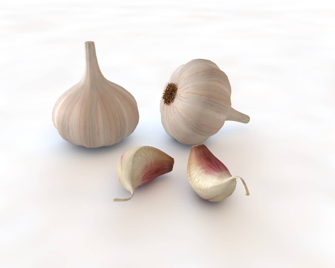 Garlic - 3D Model by 3dstudio