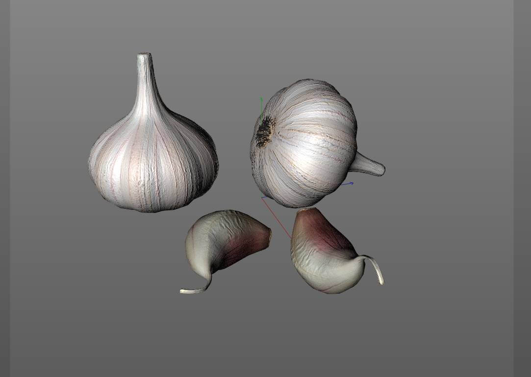 Garlic - 3D Model by 3dstudio