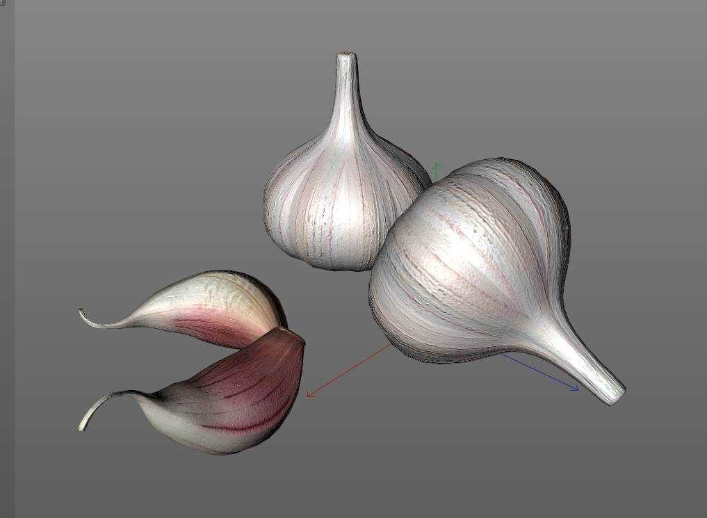 Garlic - 3D Model by 3dstudio