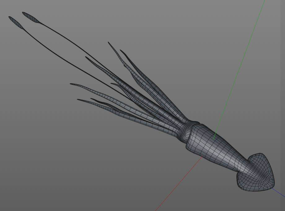 Giant Squid - 3D Model by 3dstudio