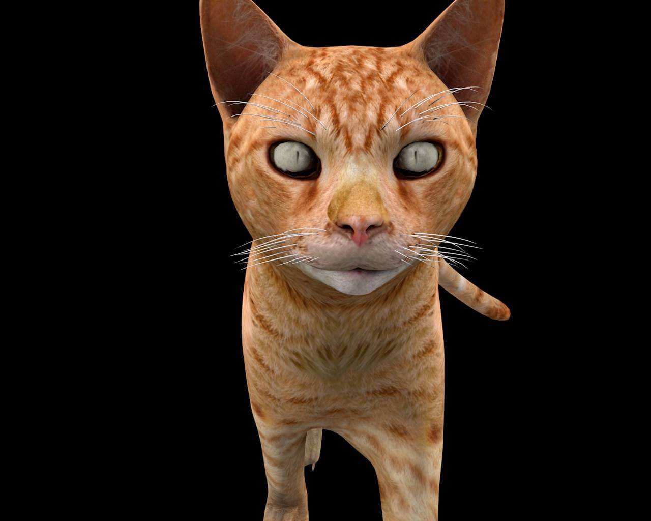 Ginger Cat - 3D Model by 3dstudio