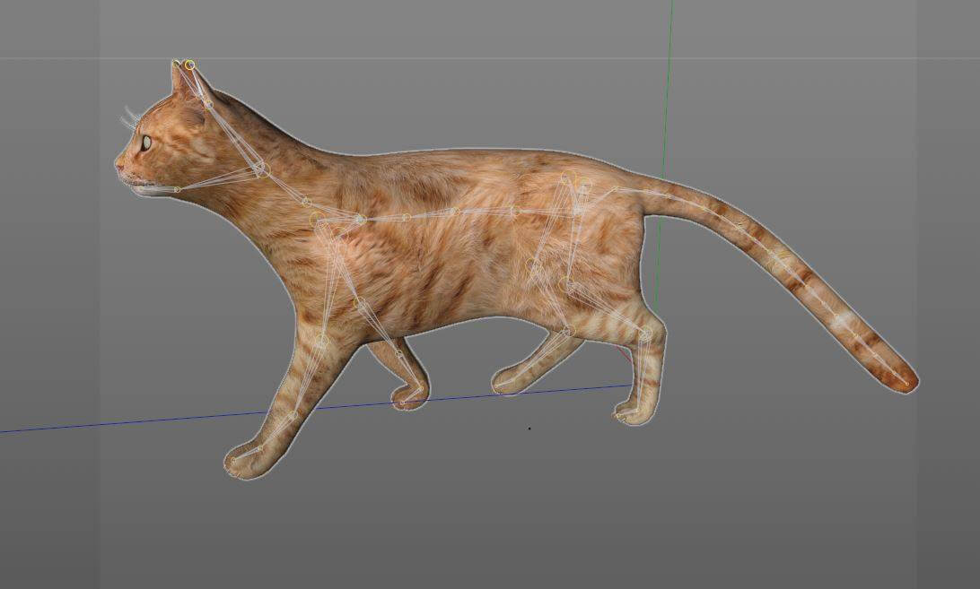 Ginger Cat - 3D Model by 3dstudio
