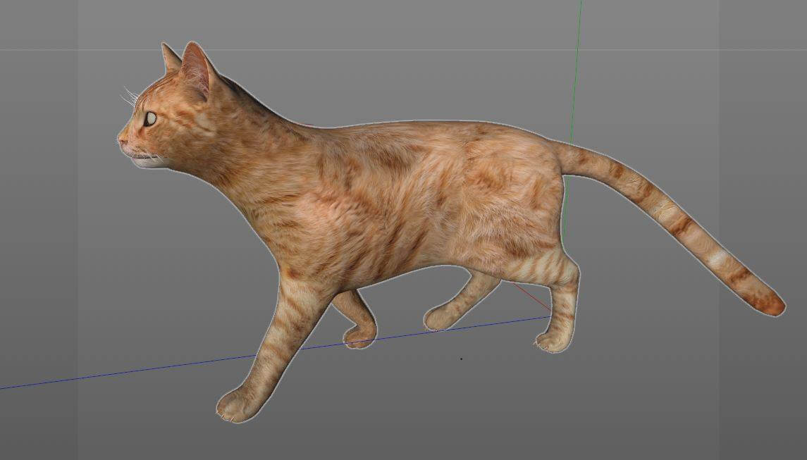 Ginger Cat - 3D Model by 3dstudio