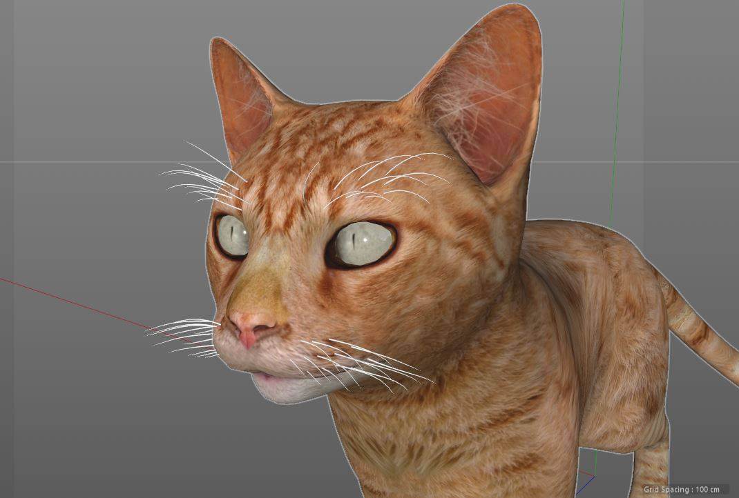 Ginger Cat - 3D Model by 3dstudio