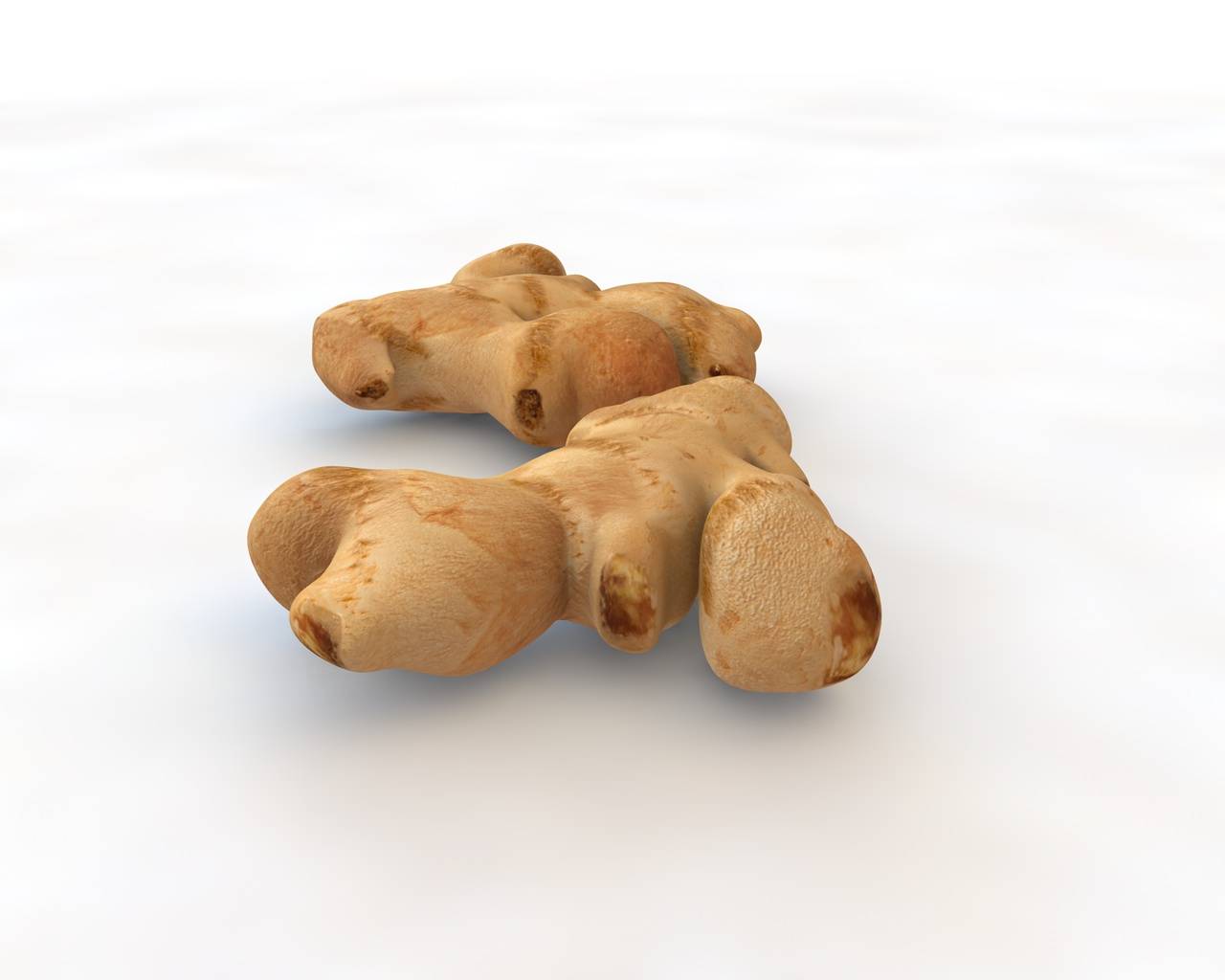 Ginger - 3D Model by 3dstudio