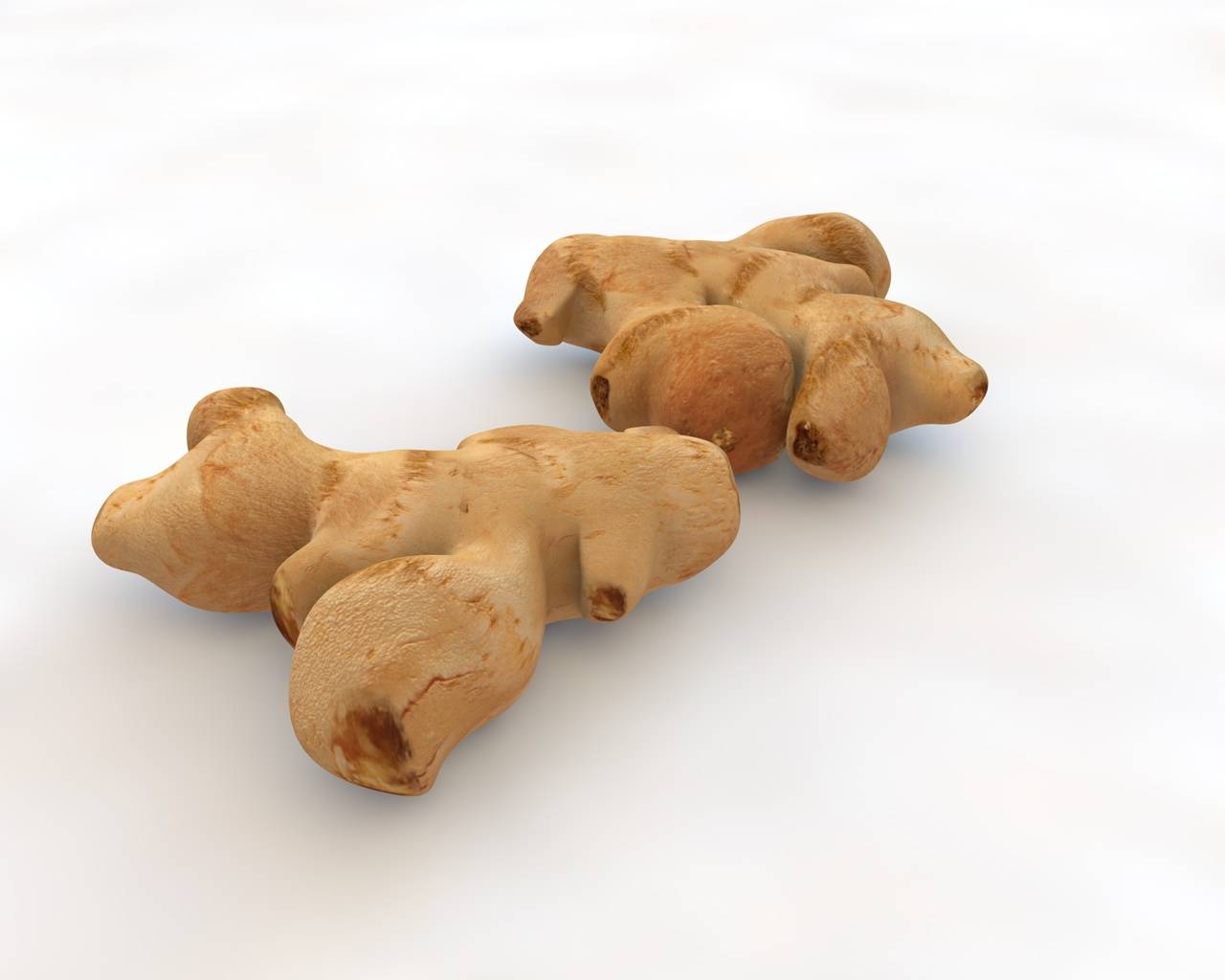 Ginger - 3D Model by 3dstudio