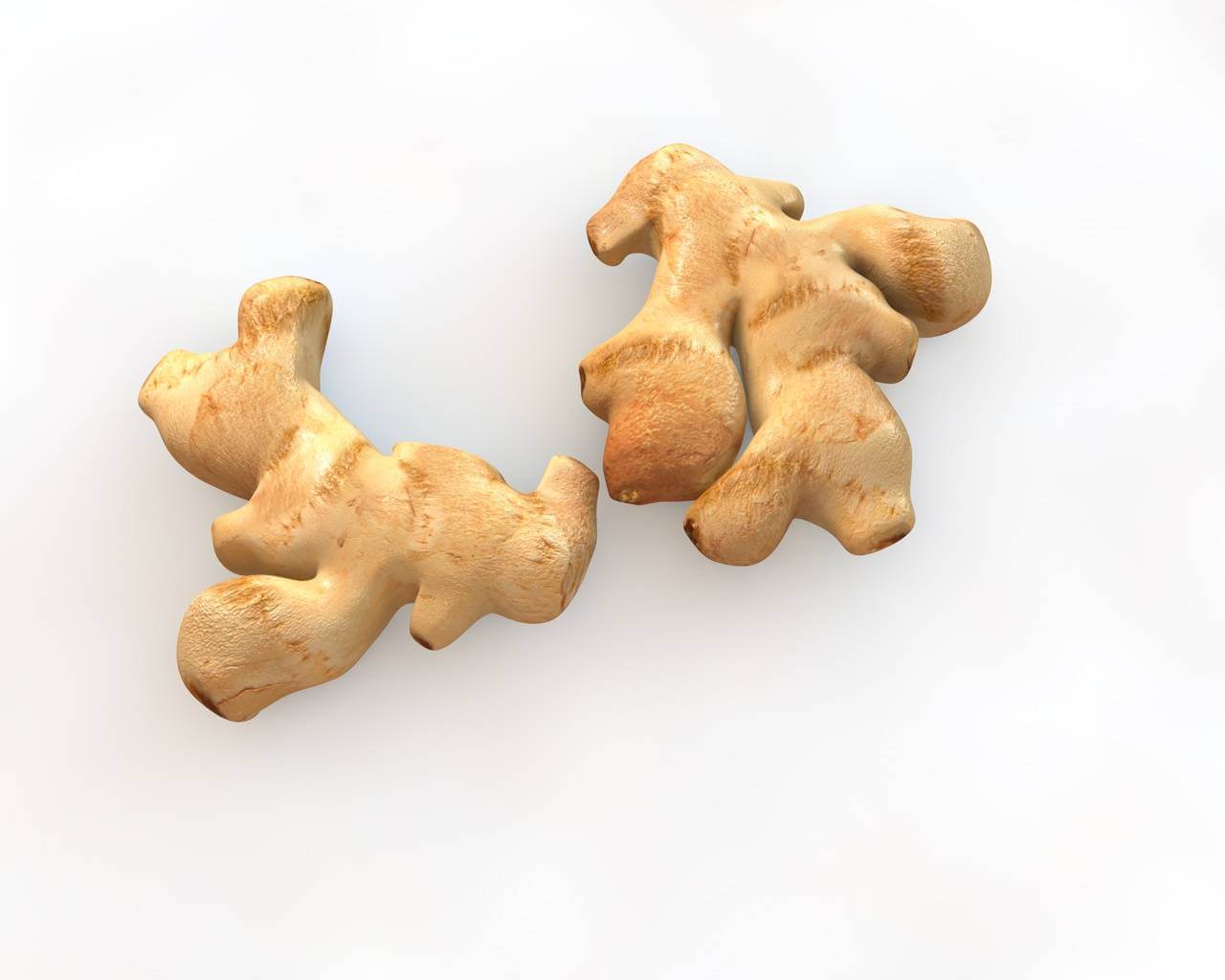 Ginger - 3D Model by 3dstudio