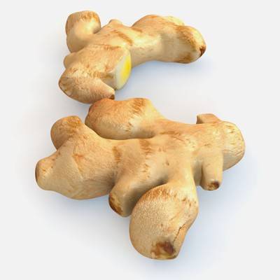 Ginger - 3D Model by 3dstudio