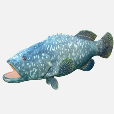 Goliath Grouper Fish - 3D Model by 3dstudio