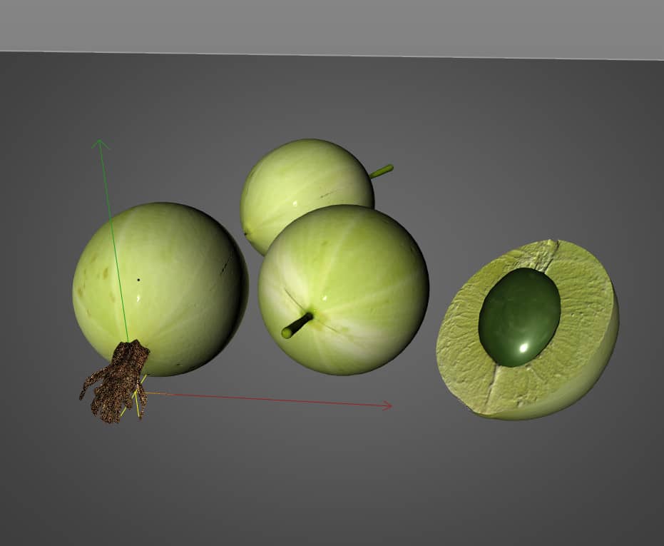 Gooseberry - 3D Model by 3dstudio