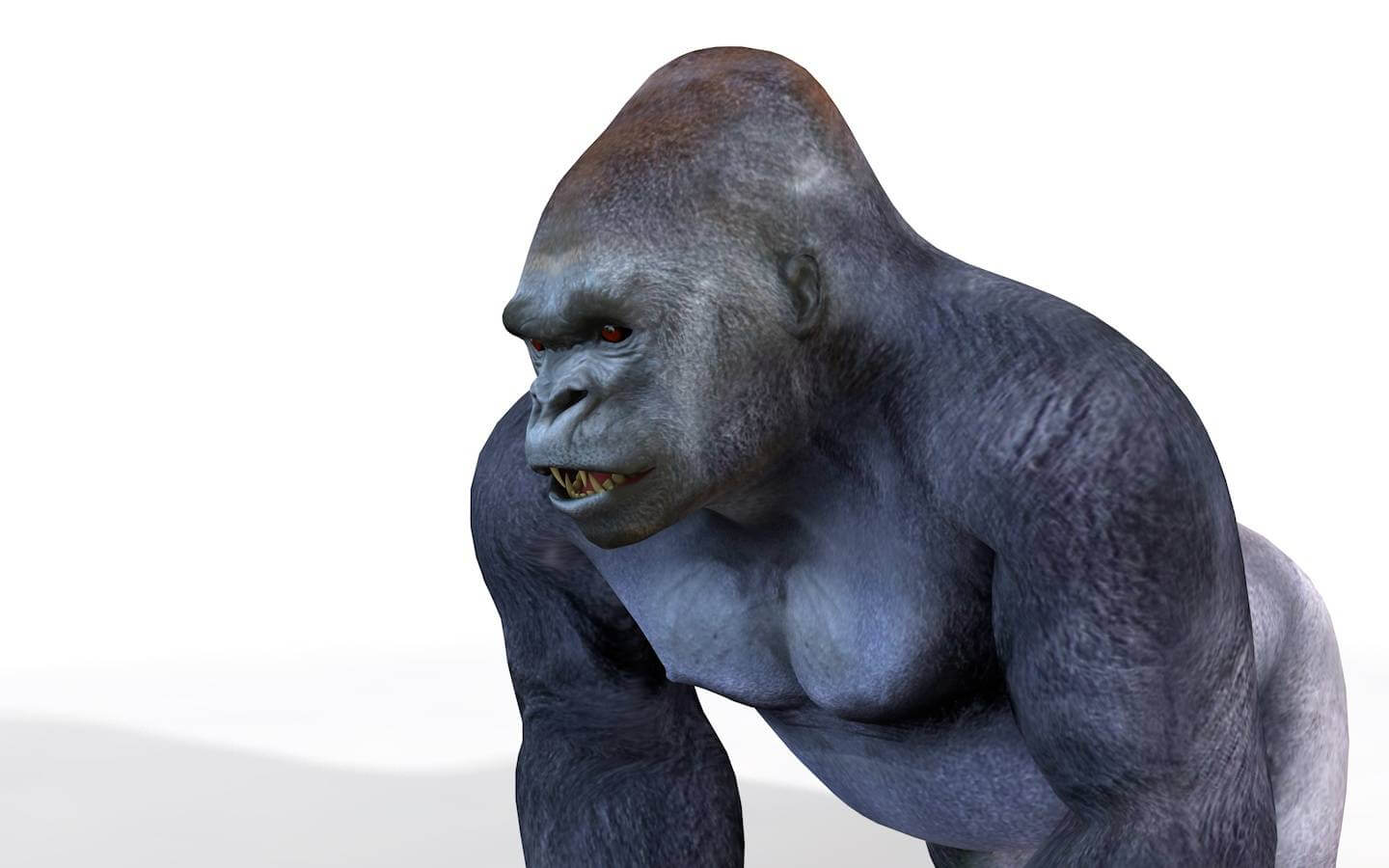Gorilla - 3D Model by 3dstudio