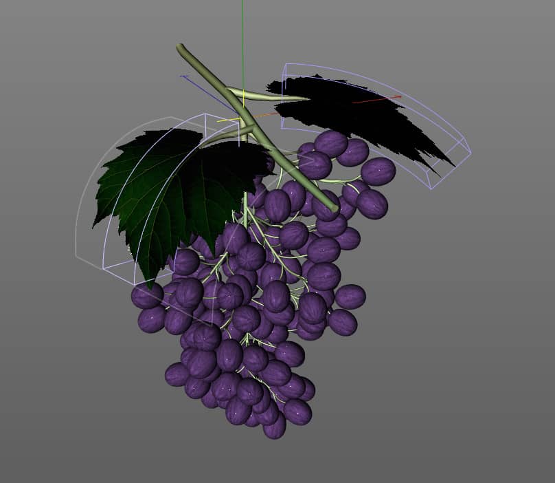 Grapes - 3D Model by 3dstudio