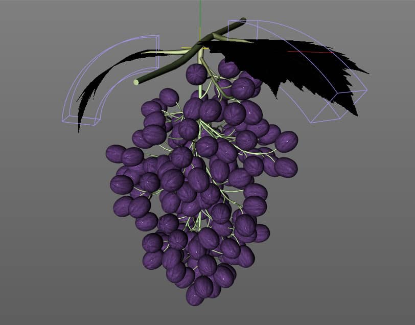 Grapes - 3D Model by 3dstudio