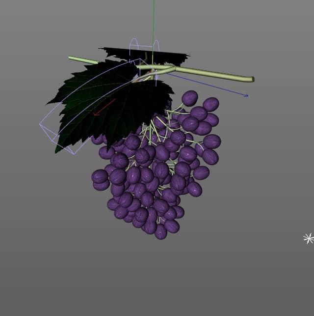 Grapes - 3D Model by 3dstudio