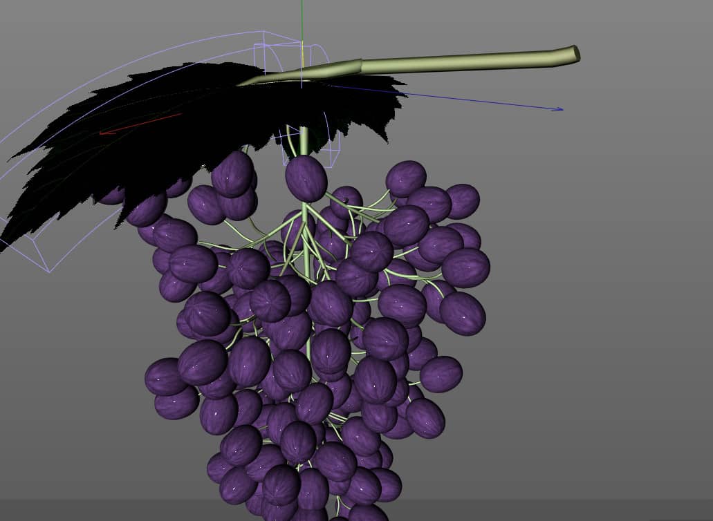 Grapes - 3D Model by 3dstudio