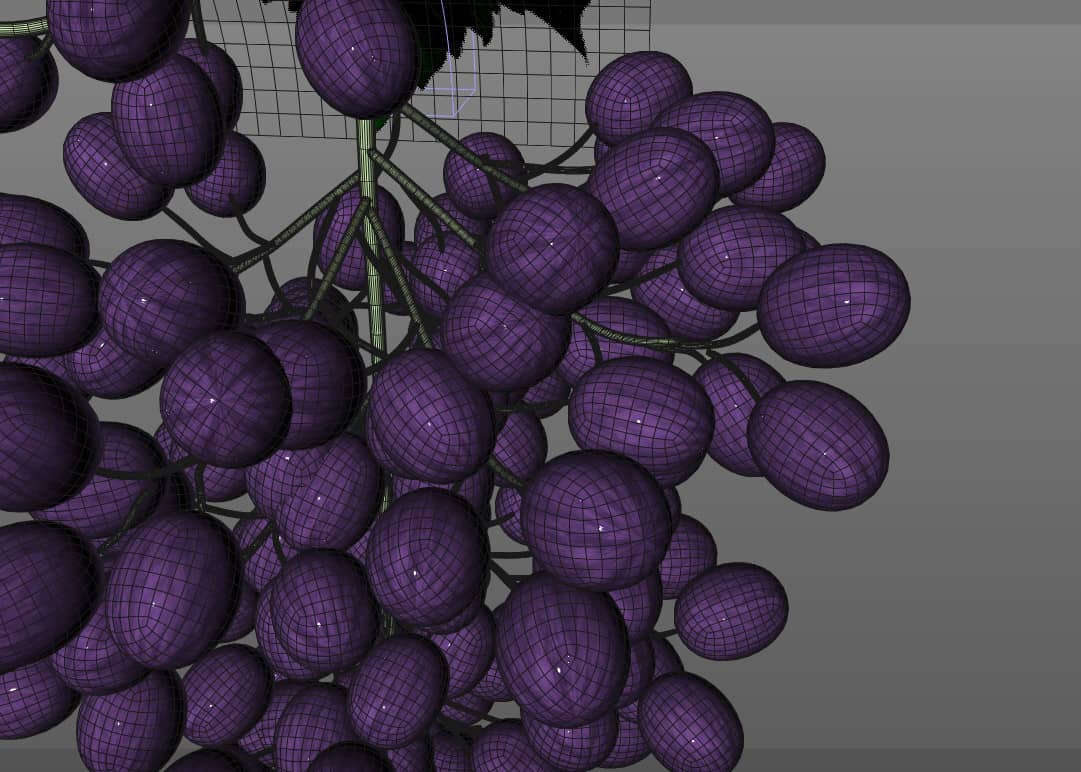 Grapes - 3D Model by 3dstudio