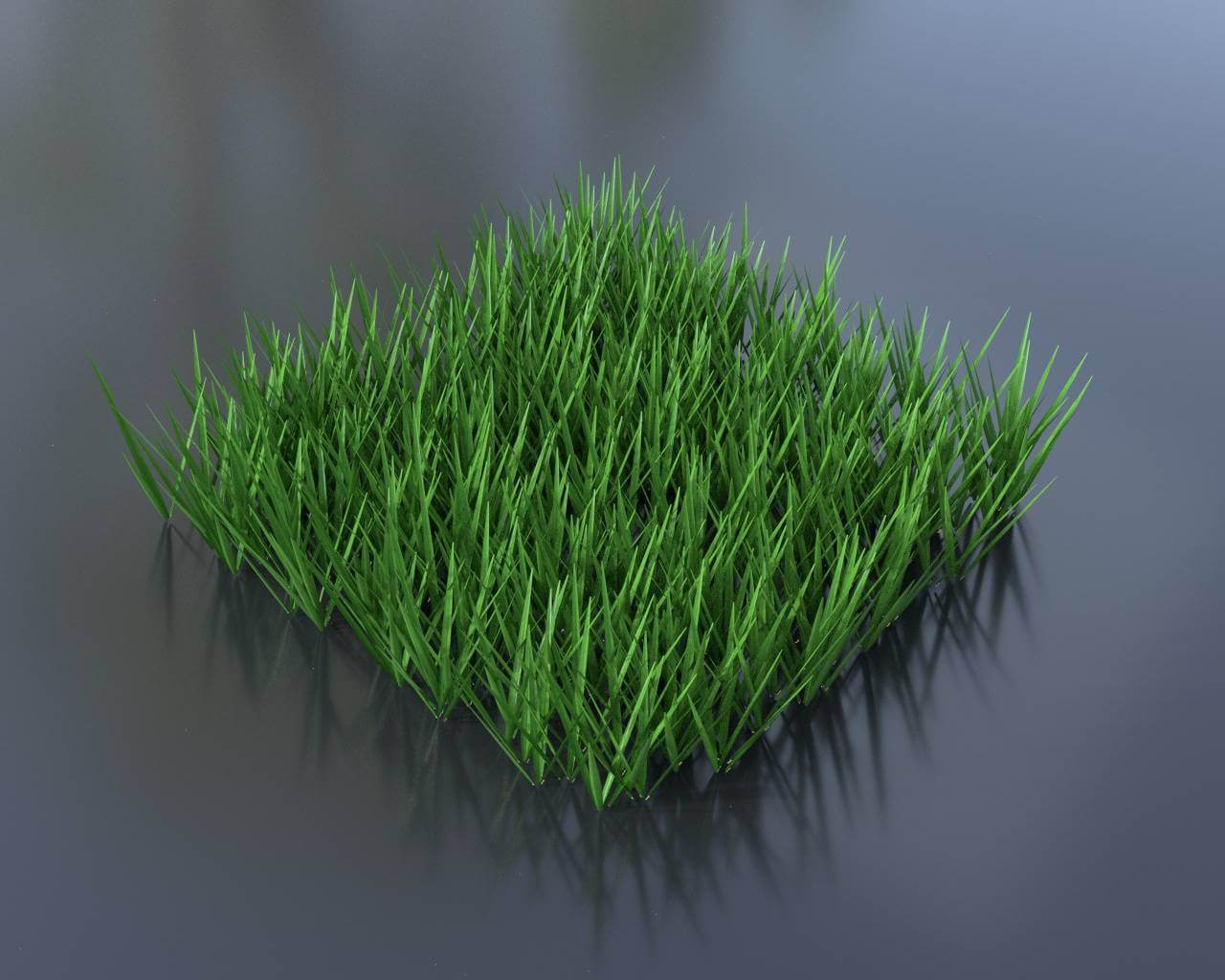 Grass (4 Pack) - 3D Model by 3dstudio