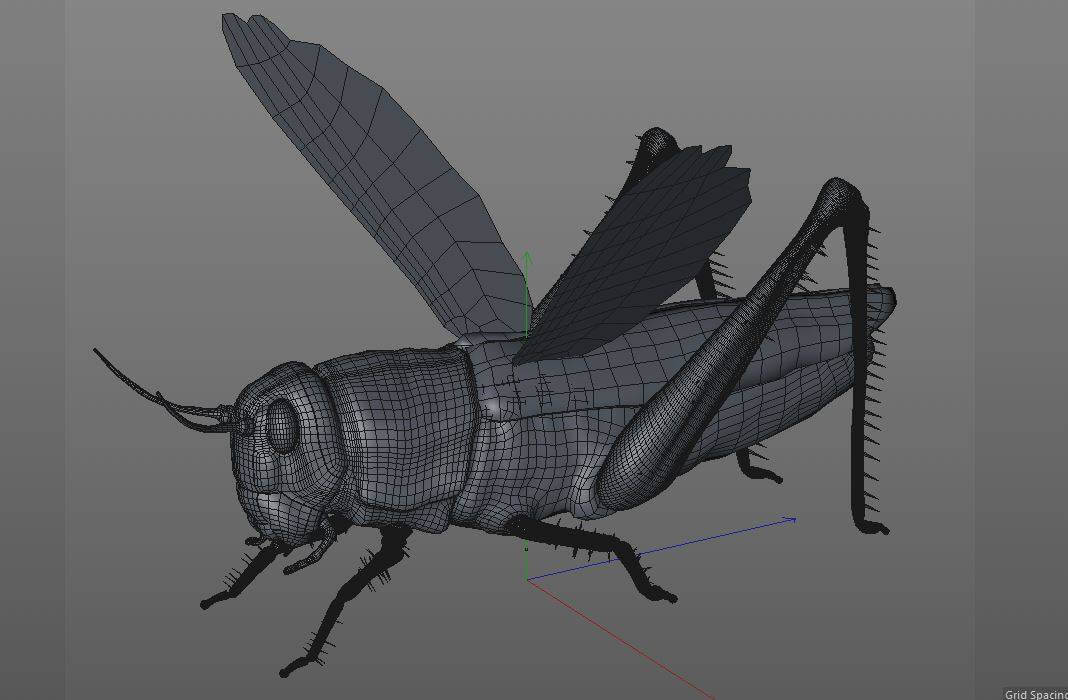 Grasshopper - 3D Model by 3dstudio