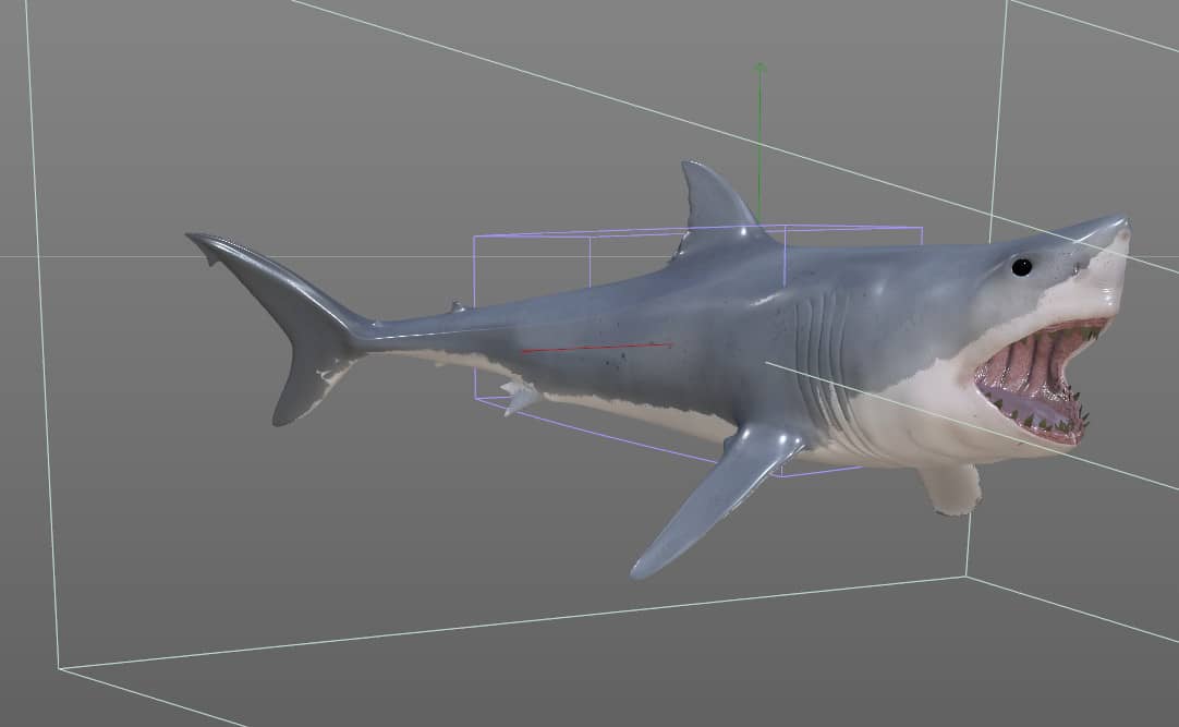 Great White Shark - 3D Model by 3dstudio