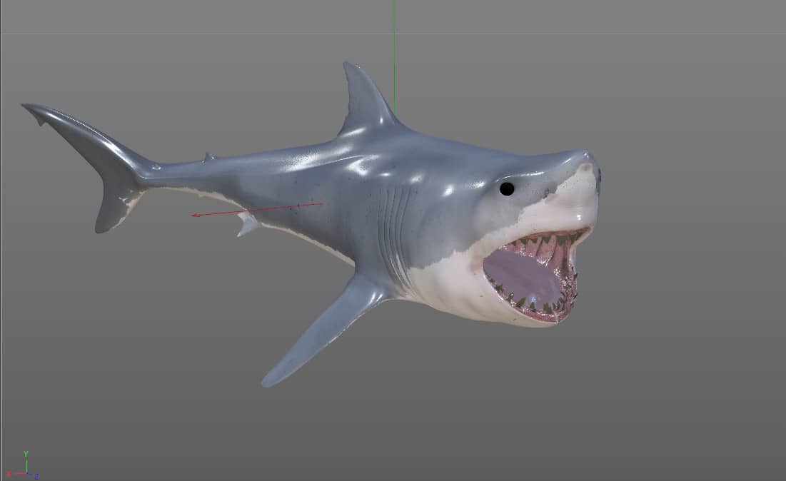 Great White Shark - 3D Model by 3dstudio