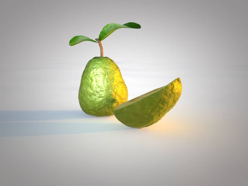 Guava - 3D Model by 3dstudio