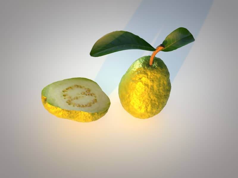 Guava - 3D Model by 3dstudio