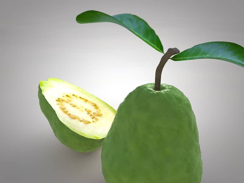 Guava - 3D Model by 3dstudio