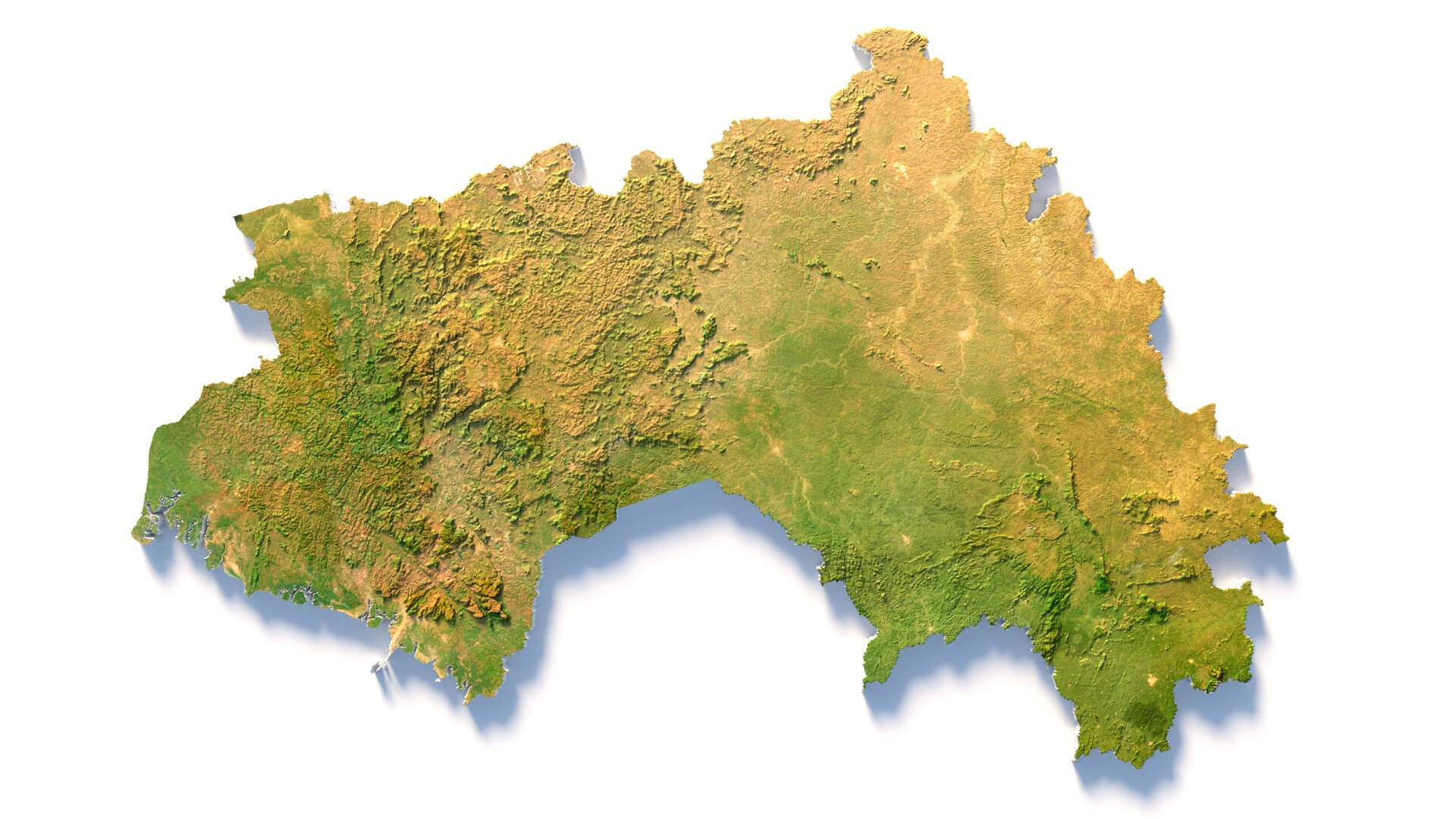 Guinea Terrain Map - 3D Model by 3dstudio