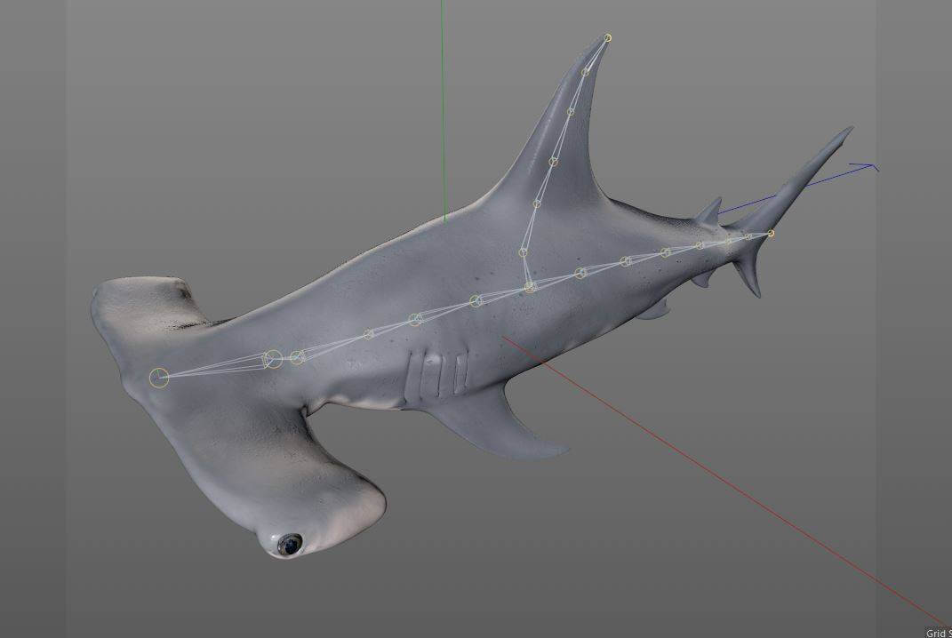 Hammerhead Shark - 3D Model by 3dstudio
