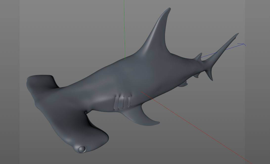 Hammerhead Shark - 3D Model by 3dstudio