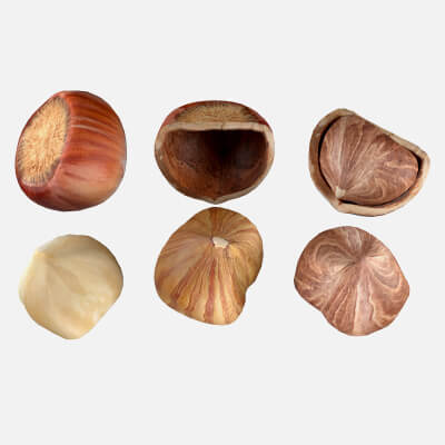 Hazelnut Collection - 3D Model by 3dstudio