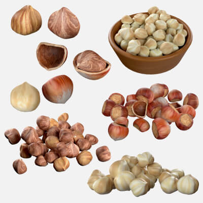 Hazelnut Mega Collection - 3D Model by 3dstudio