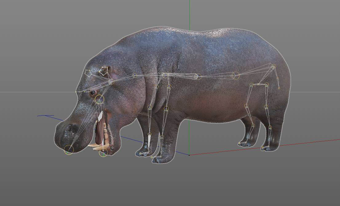 Hippo - 3D Model by 3dstudio