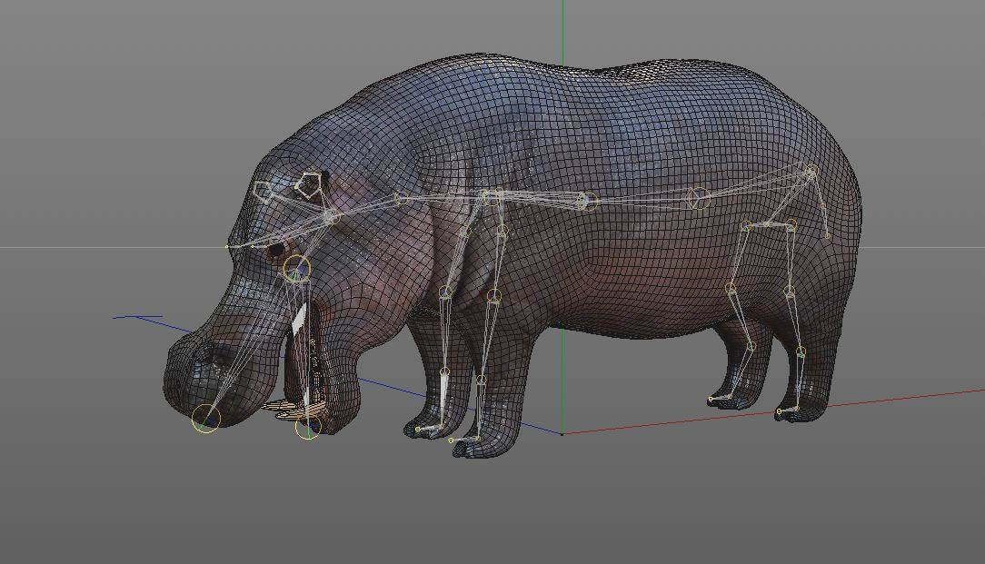 Hippo - 3D Model by 3dstudio