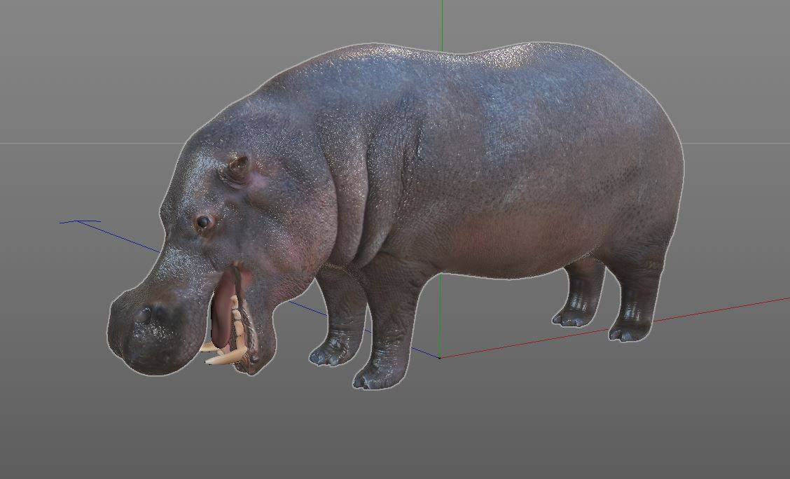 Hippo - 3D Model by 3dstudio